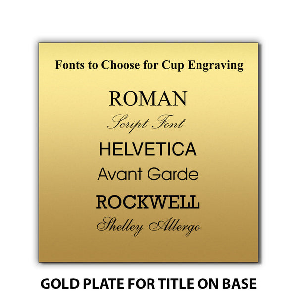 CRICKET POD ALL STAR - FREE TITLE PLAQUE – 2BOTS Awards Signs Apparel
